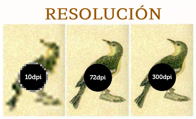 Breve historia del DVD | Red Gráfica Latinoamérica